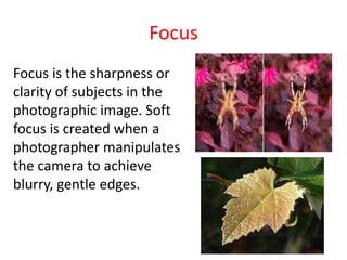 Main visual elements | PPTX