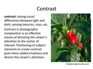 Main visual elements | PPTX