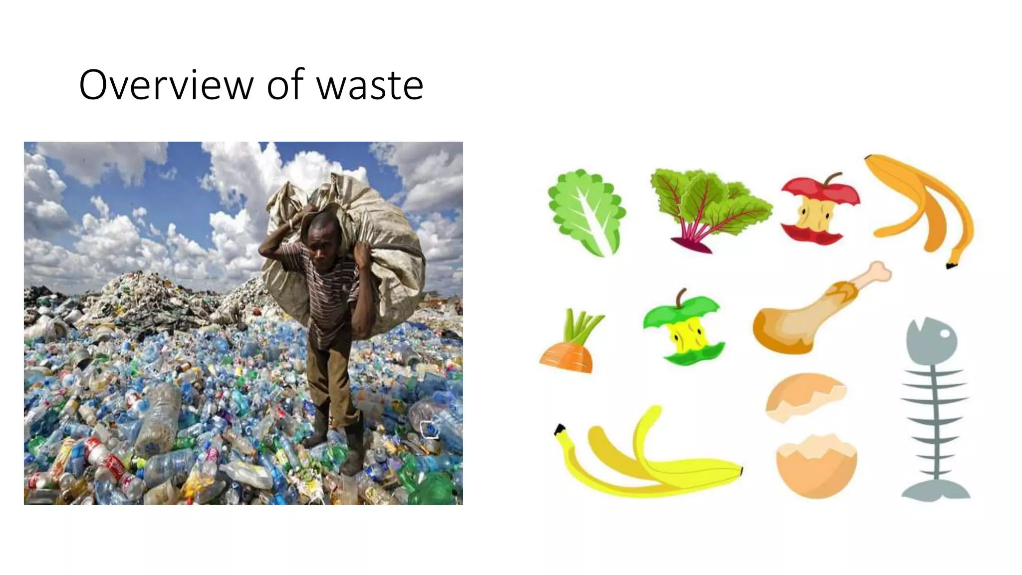 Biodegradable and Nonbiodegradable elements(waste) | PPTX
