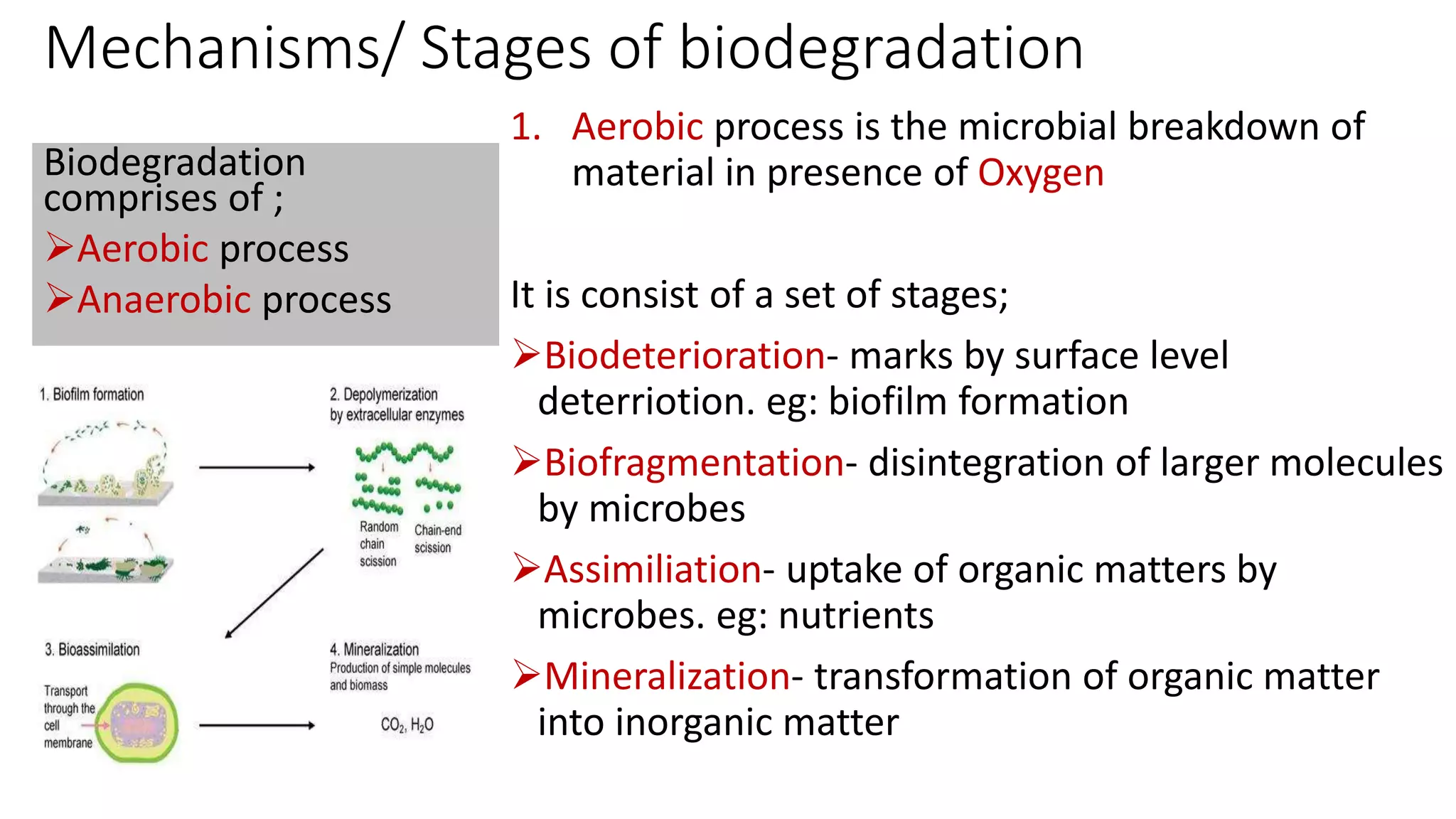 Biodegradable and Nonbiodegradable elements(waste) | PPTX