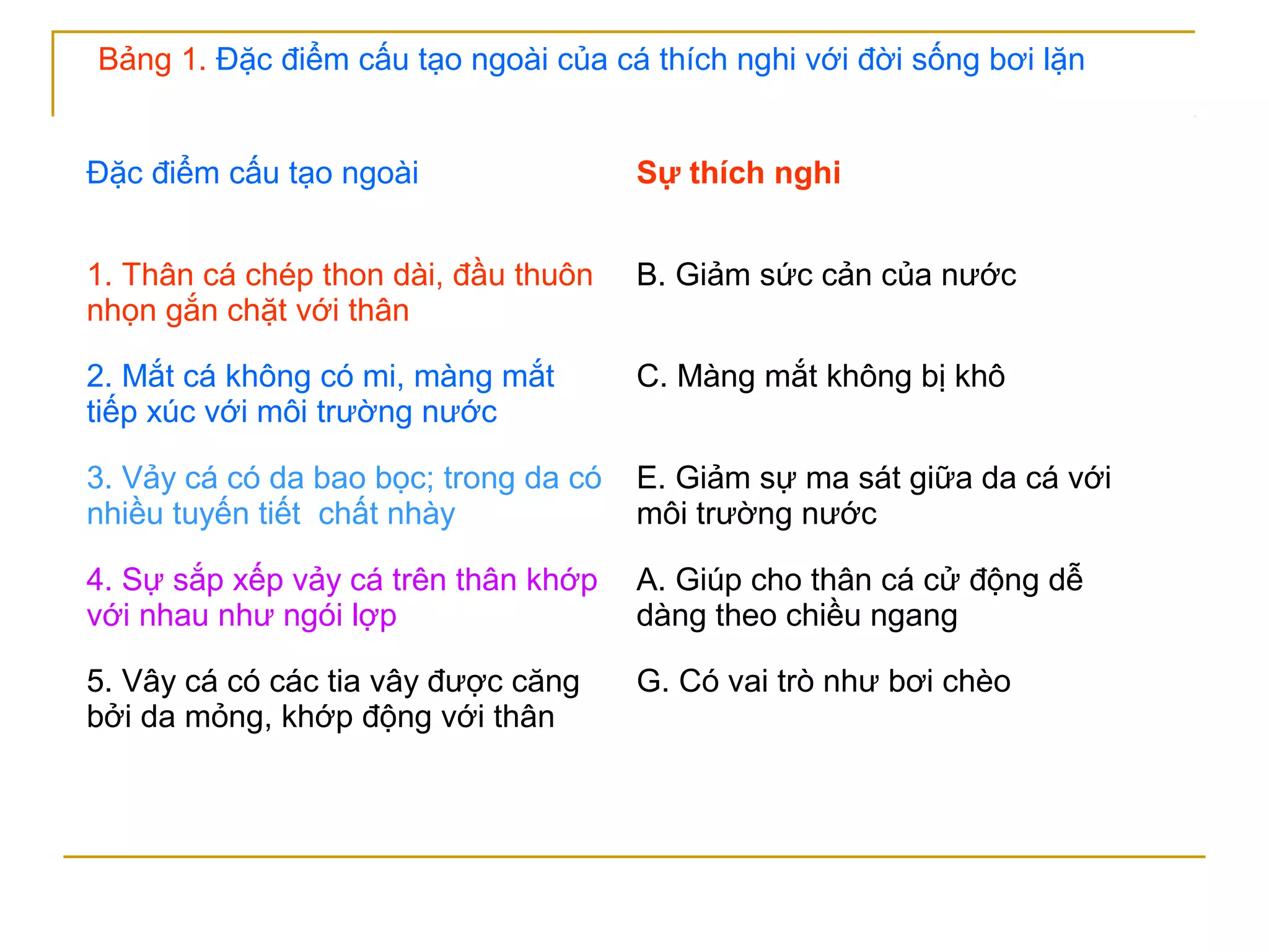 Mai ppt.ppt. | PPT