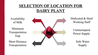 Layout of Dairy Processing Plant | PPTX