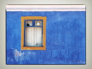 Maisel presentations | PPT