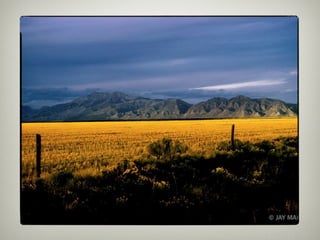 Maisel presentations | PPT