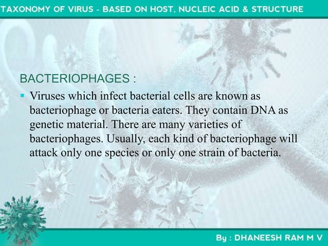 Classification of Virus, based on Nucleic acid, structure and host | PPTX | Operating Systems ...
