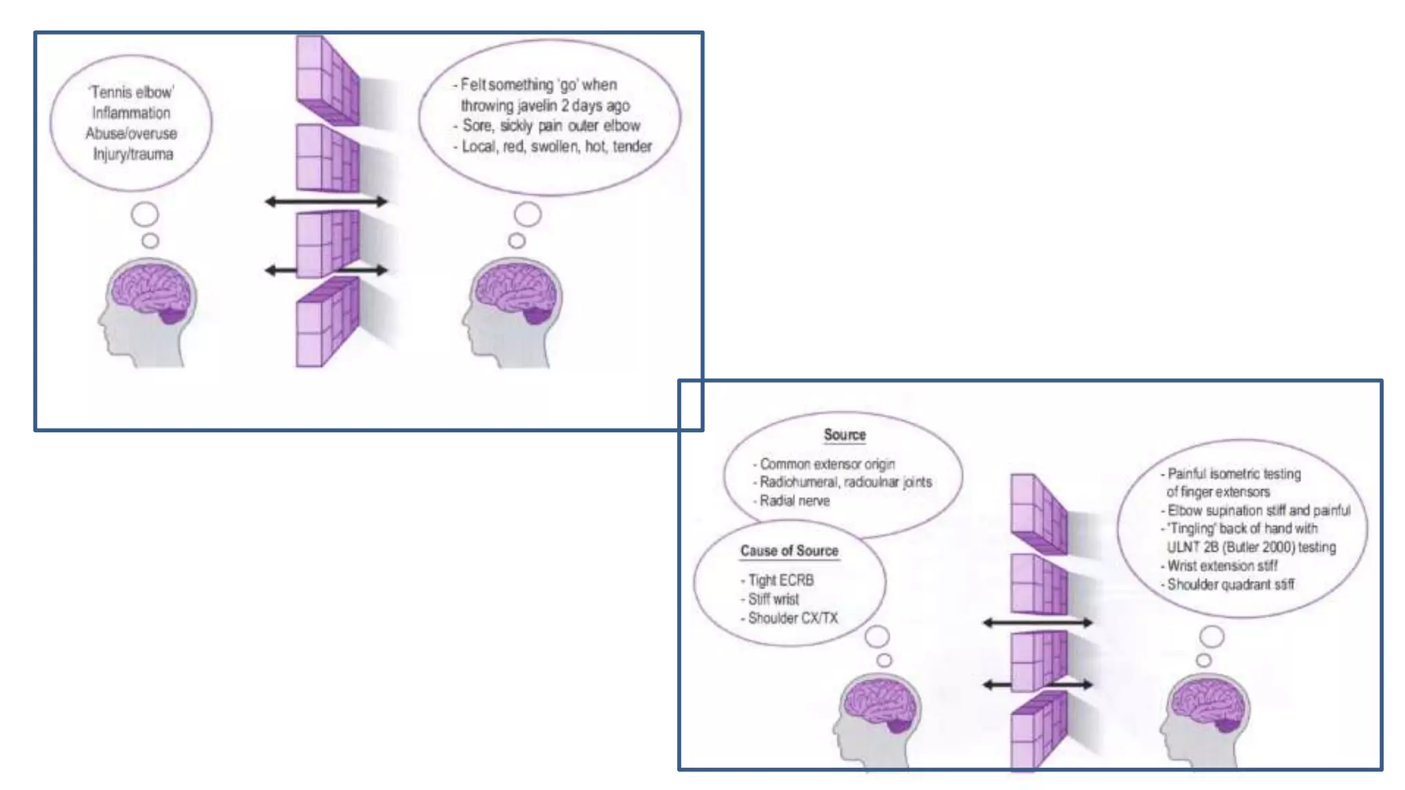 Maitland school of thought | PPTX
