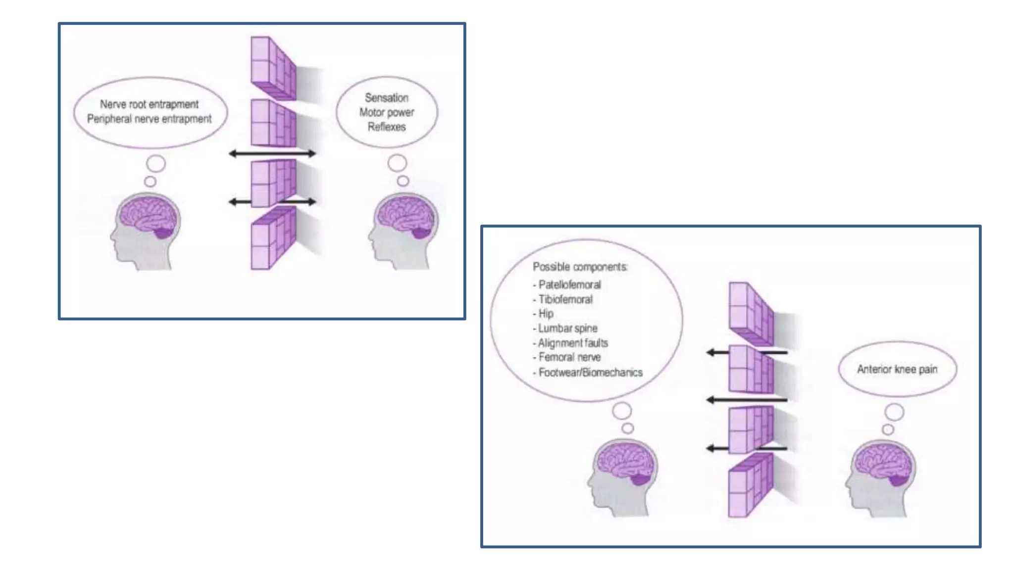 Maitland school of thought | PPTX