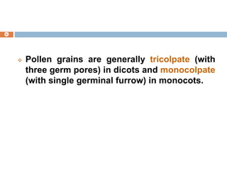 Male gametophyte morphology | PPTX