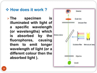 maitri218principlesandapplicationoflightphaseconstrastfluorescencemicro ...