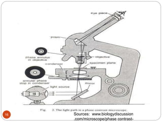 Principles and application of light, phase constrast and fluorescence ...