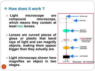 Principles and application of light, phase constrast and fluorescence ...