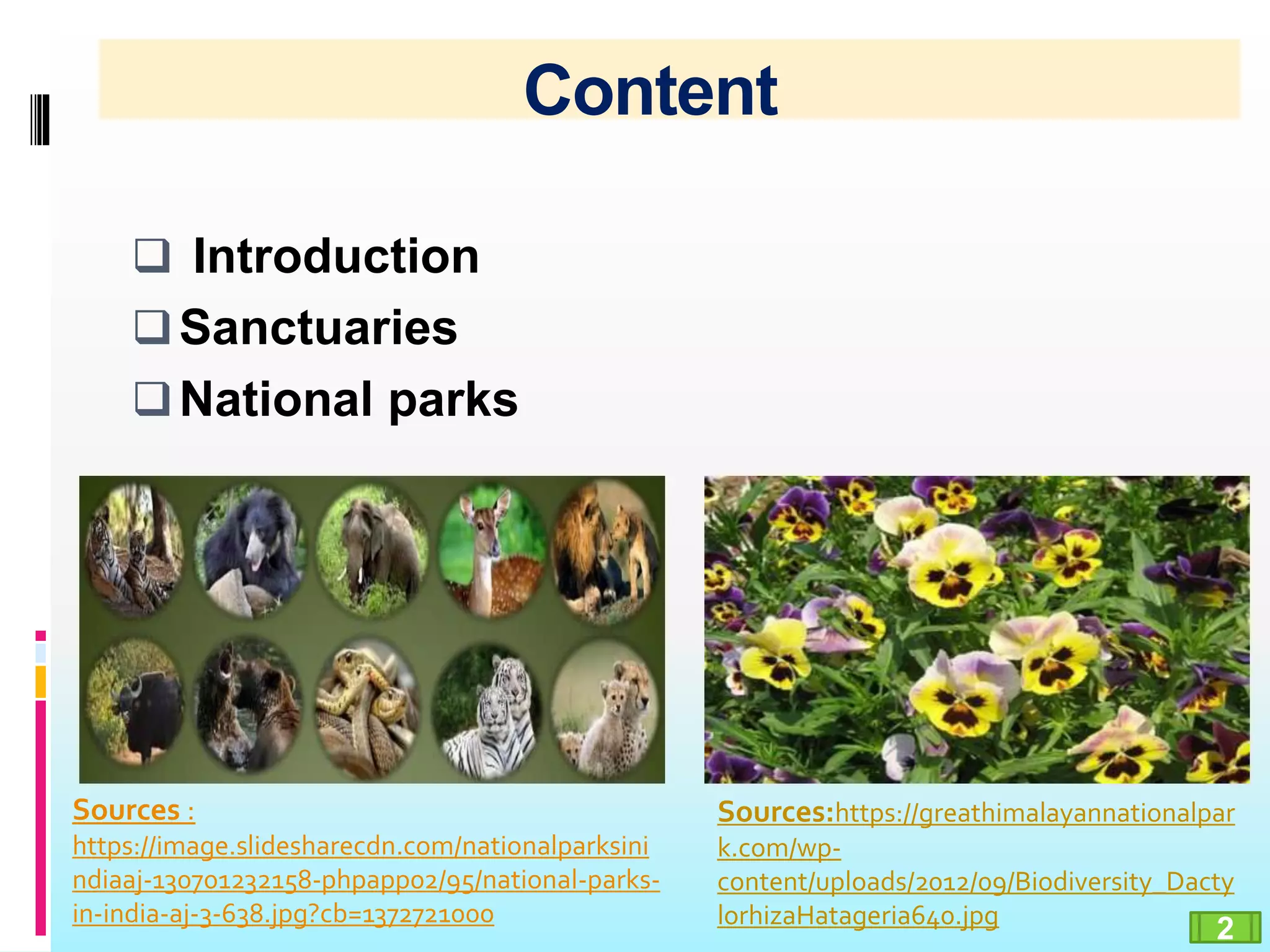 Protected areas in India : National parks & Sanctuaries | PPTX