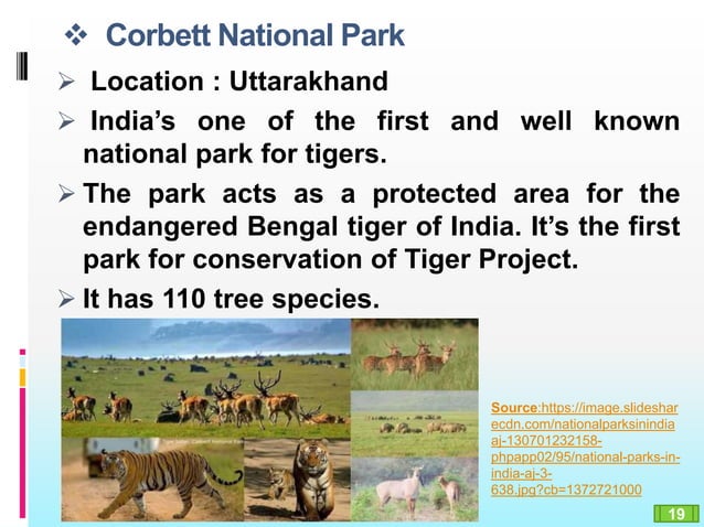 Protected areas in India : National parks & Sanctuaries | PPTX
