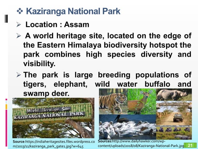 Protected areas in India : National parks & Sanctuaries | PPTX