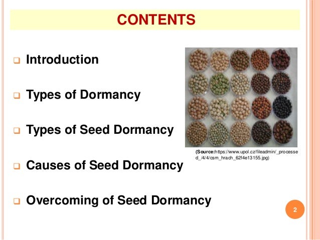 seed dormancy