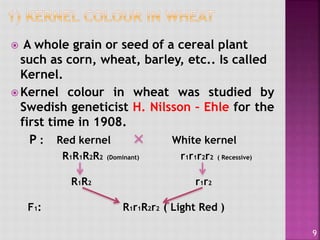 Quantitative characters and Genes | PPTX