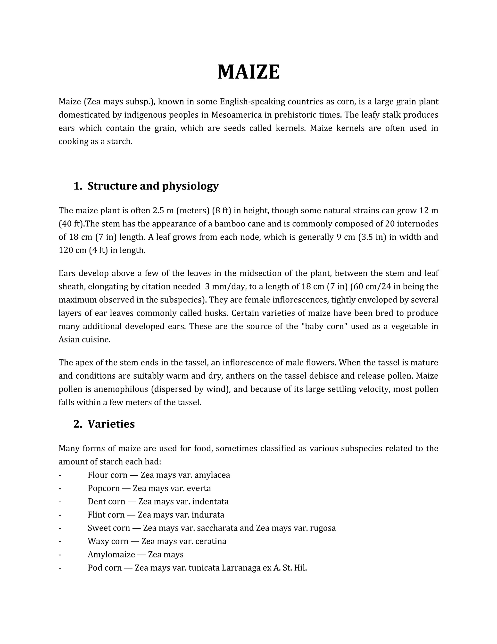 Maize | DOCX
