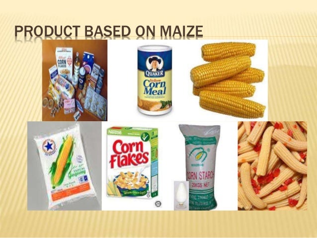Maize