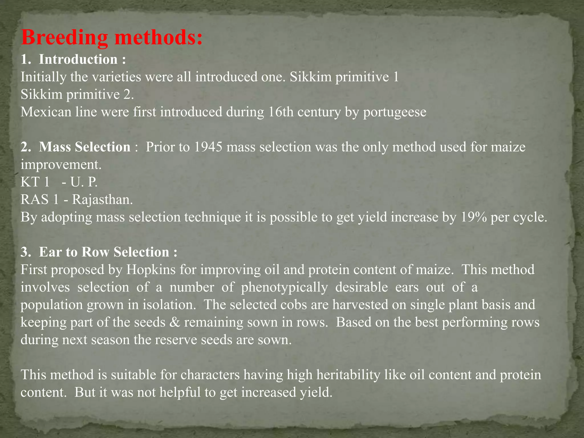 Maize Field Crop | PPTX