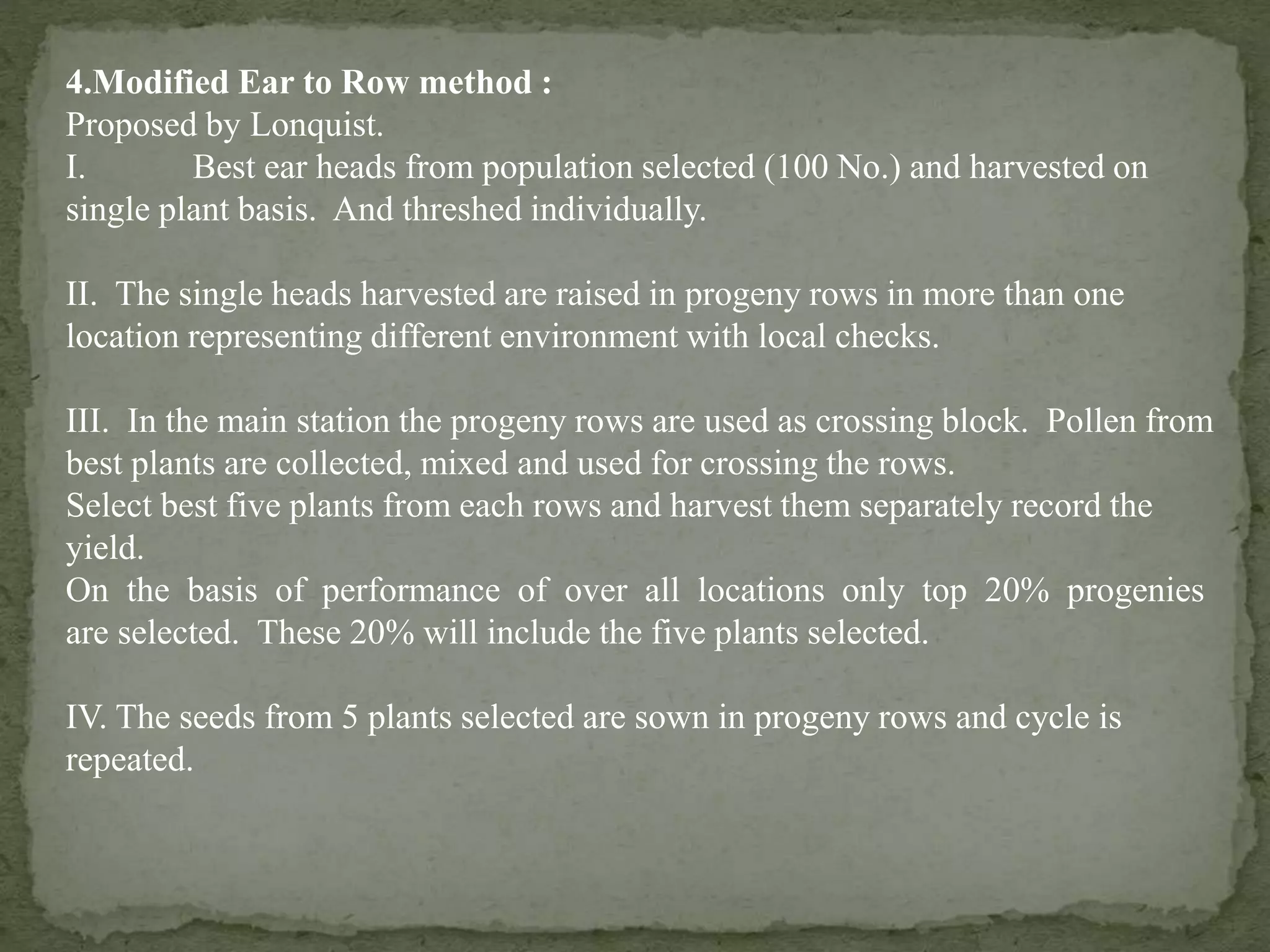 Maize Field Crop | PPTX