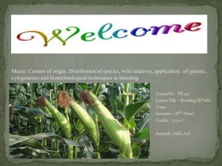 Maize Field Crop | PPTX