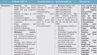 Diseases of Maize(Pythium stalk rot, Fusarium stalk rot,Bacterial stalk ...