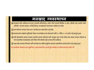 MAIZE df rtfdg fffffg fg fg fg fgf111.pptx