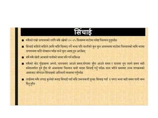 MAIZE df rtfdg fffffg fg fg fg fgf111.pptx