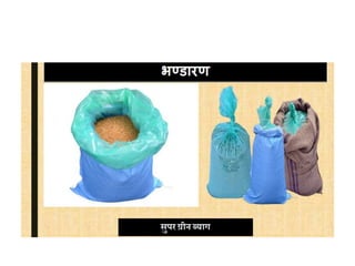 MAIZE df rtfdg fffffg fg fg fg fgf111.pptx