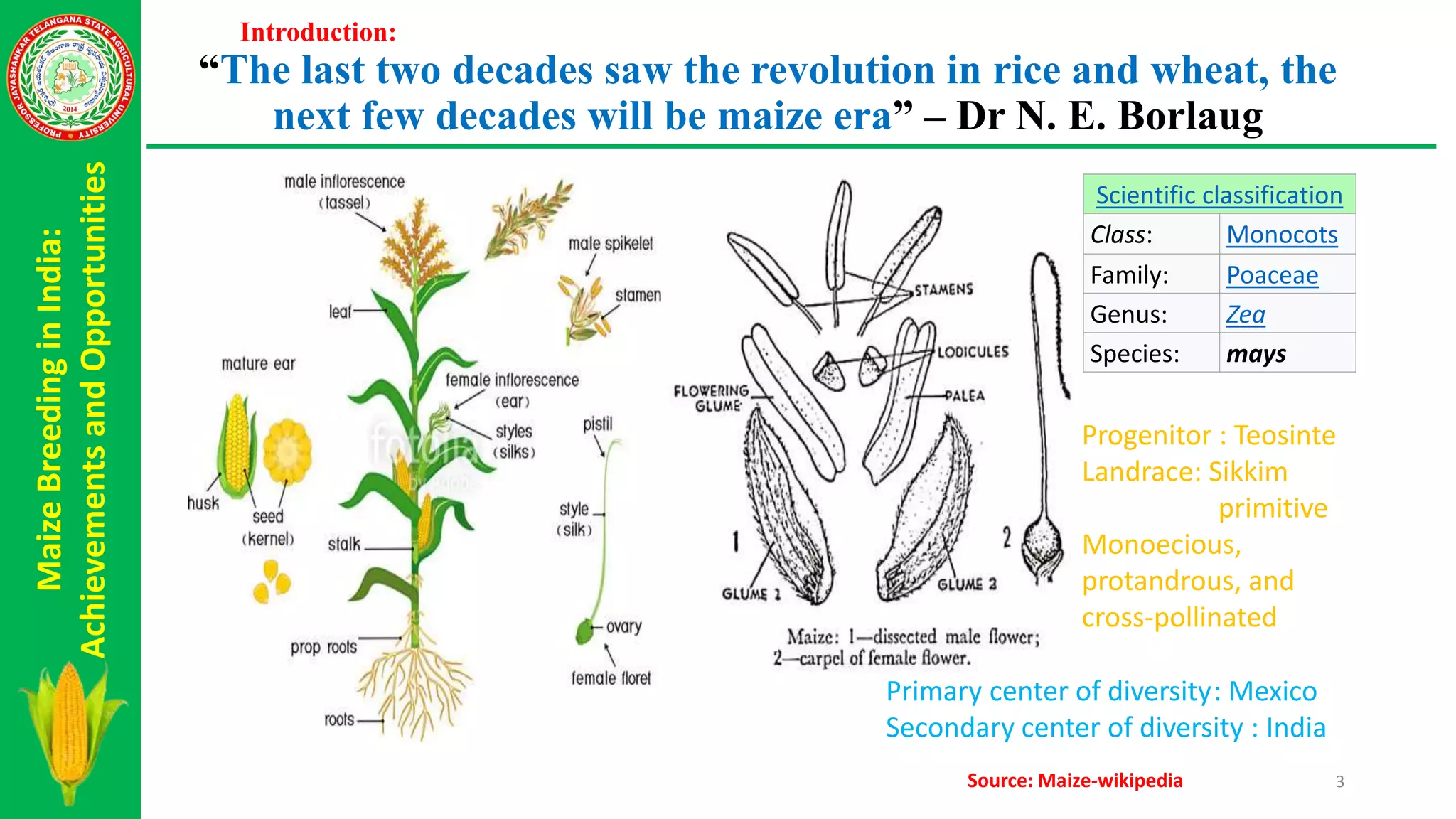 Maize Breeding in India: Achievements and Opportunities | PPTX