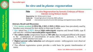 Maize Breeding in India: Achievements and Opportunities | PPTX