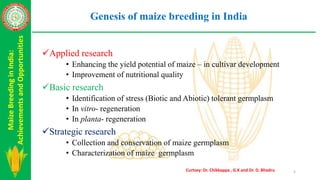 Maize Breeding in India: Achievements and Opportunities | PPTX
