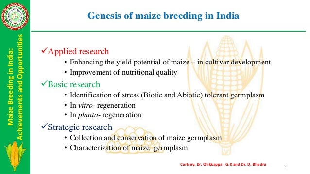 Maize Breeding in India: Achievements and Opportunities