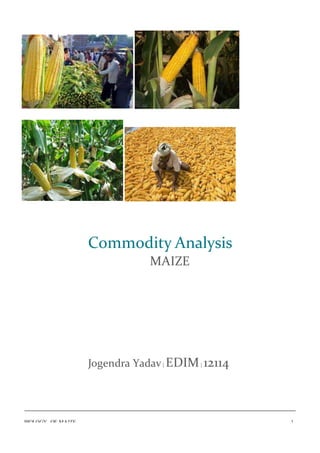 Maize assingment..(Commodity) | PDF