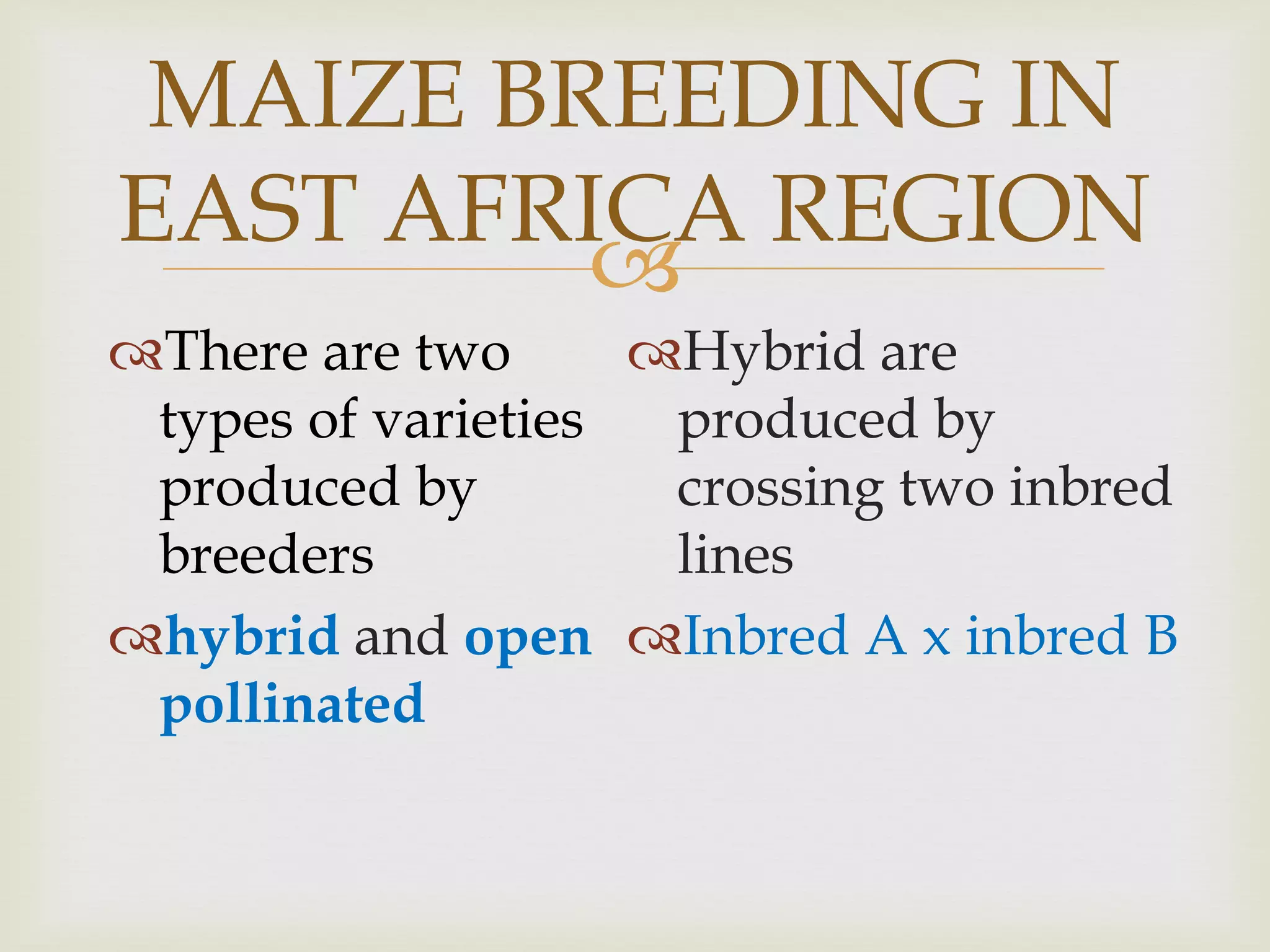 Maize breeding in east africa region presentation | PDF