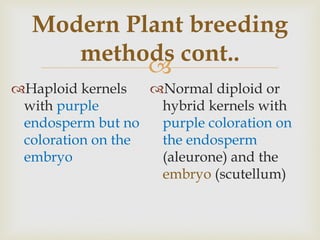 Maize breeding in east africa region presentation | PPT