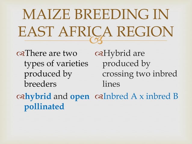 Maize breeding in east africa region presentation | PPT