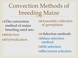Maize breeding in east africa region presentation | PPT