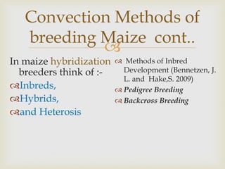 Maize breeding in east africa region presentation | PPT