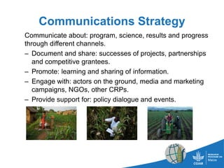 Communications in MAIZE AFS | PPTX