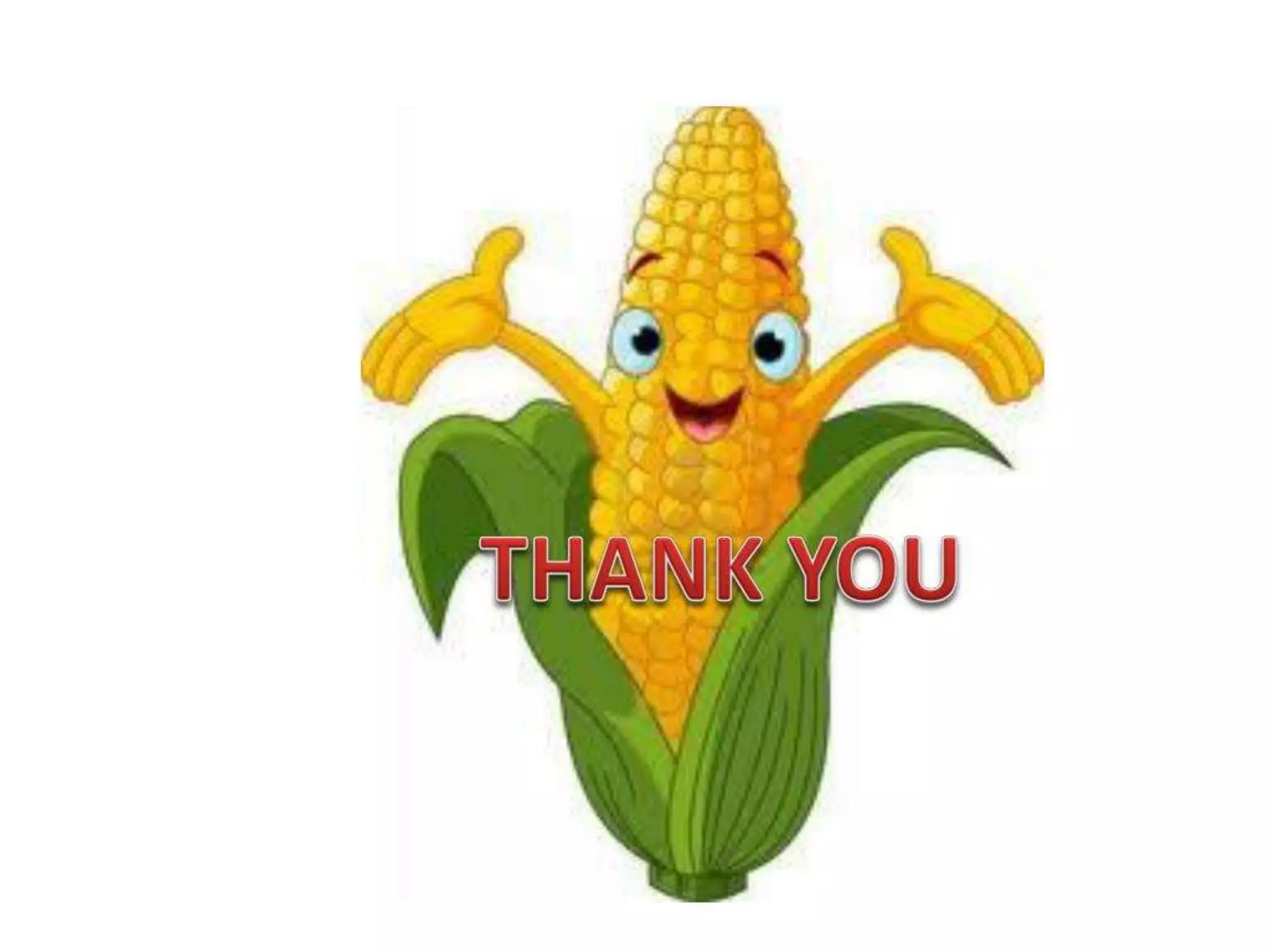 Maize crop by products.pptx