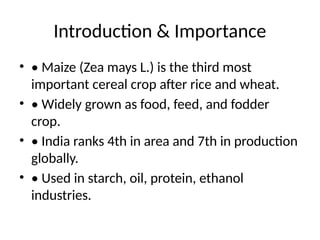 Maize_Crop_Presentation (1) Details about Maize Crop.pptx