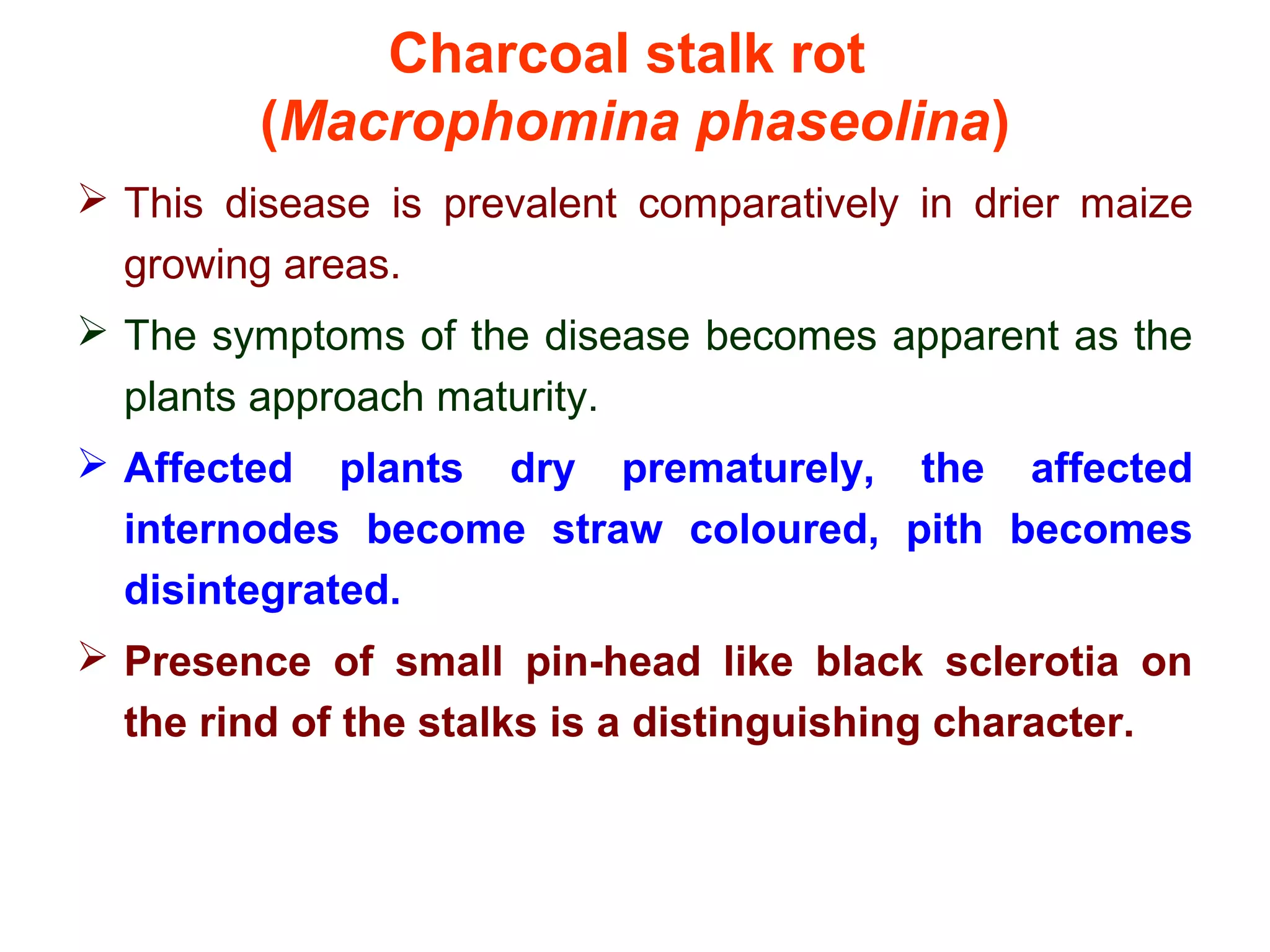 Integrated disease management Maize diseases | PPT