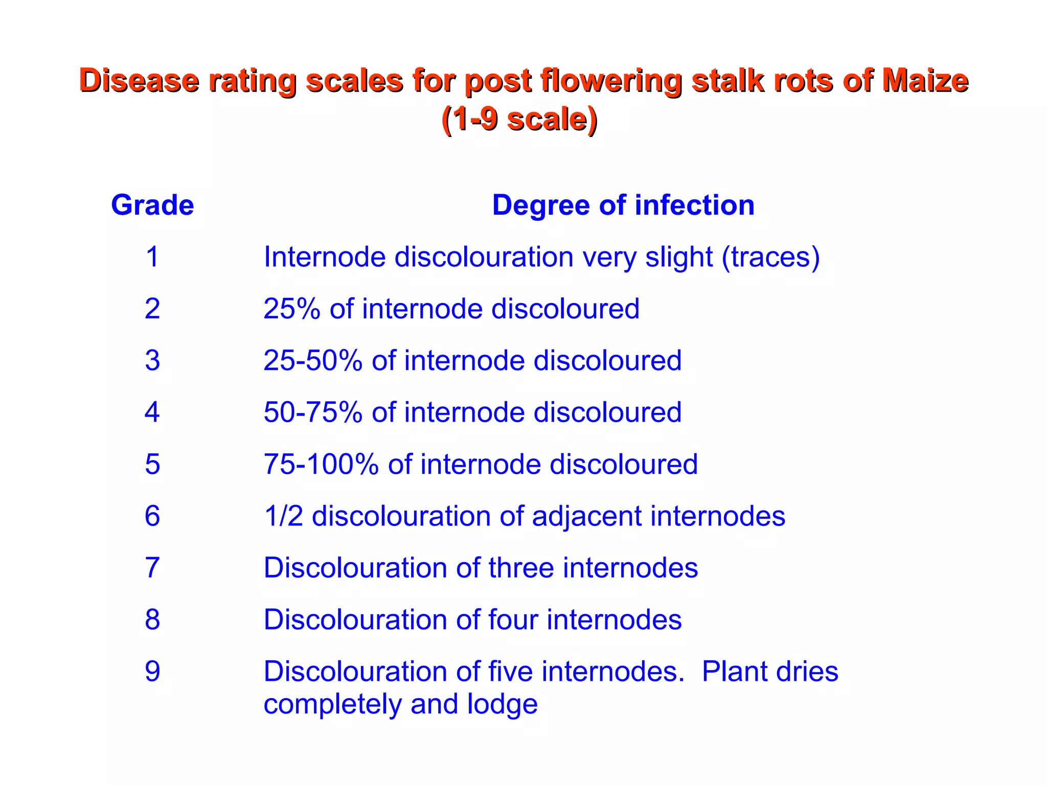 Integrated disease management Maize diseases | PPT