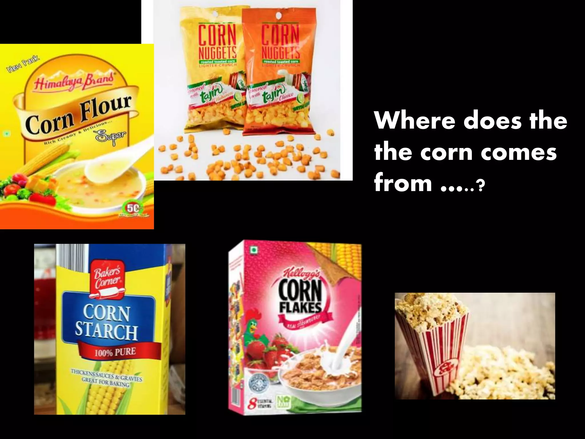 Maize evolution | PPTX