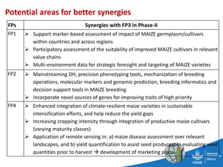 CRP MAIZE: FP 3 | PPT