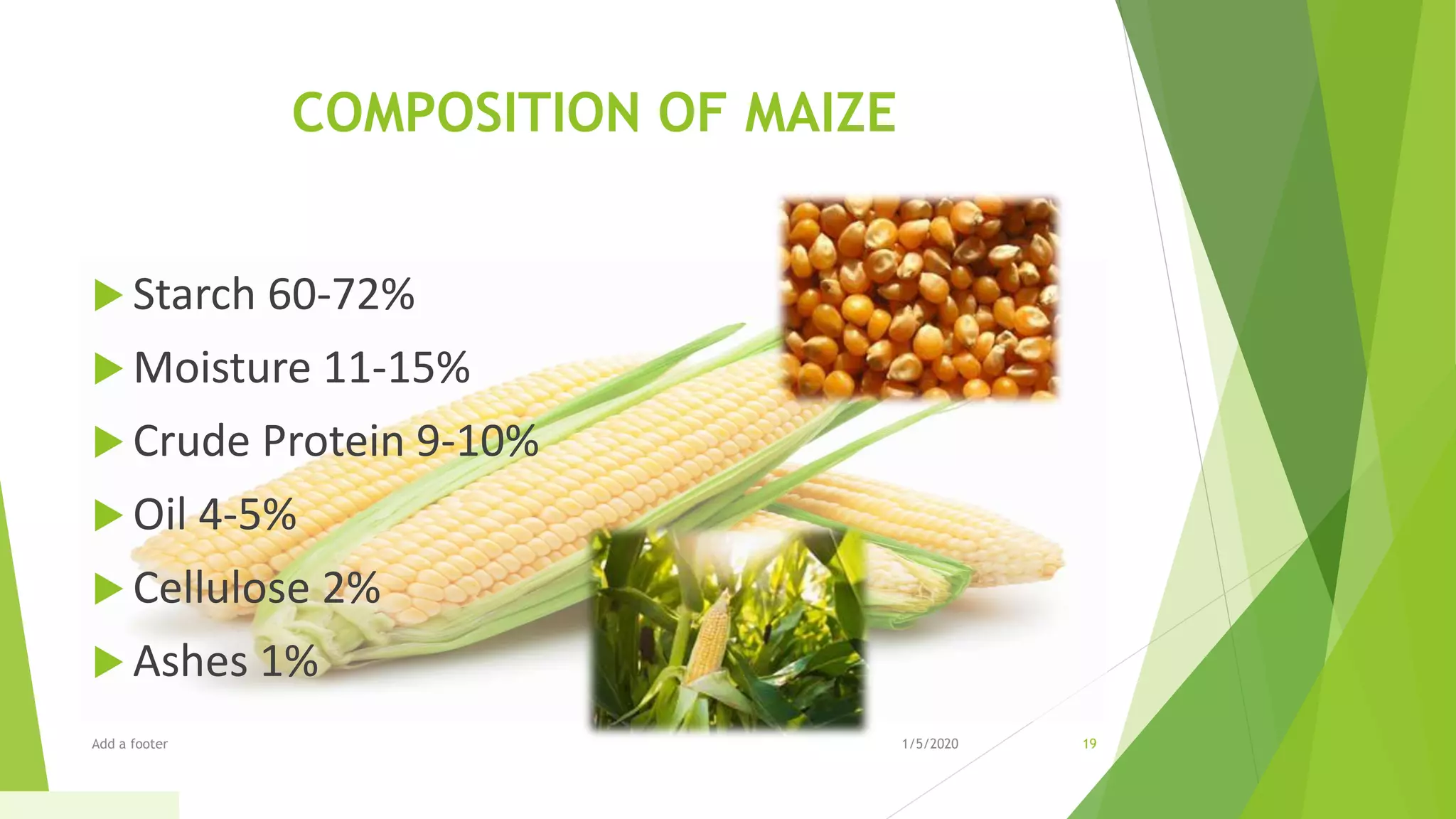 Maize industry in Pakistan | PPTX