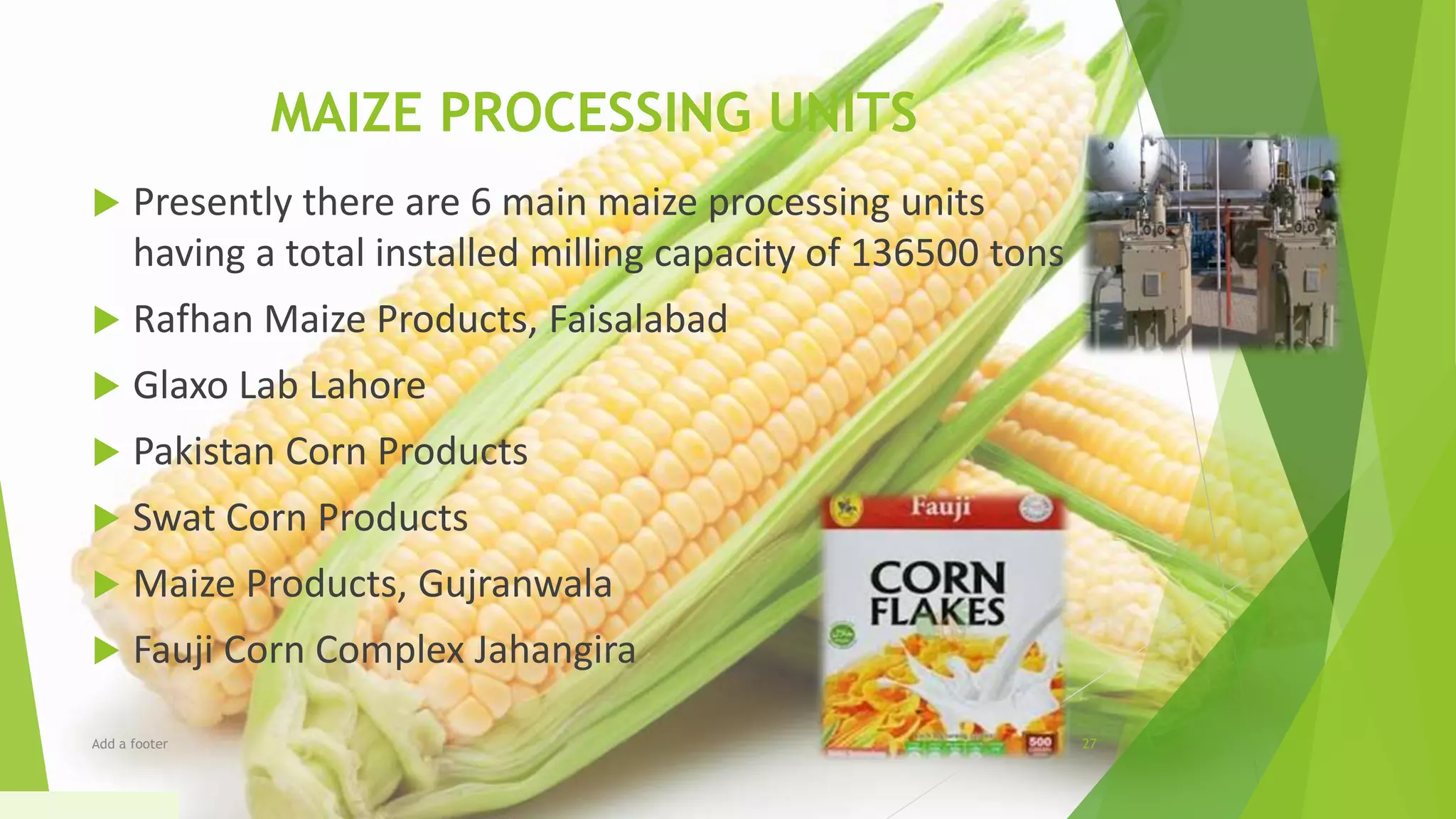 Maize industry in Pakistan | PPTX