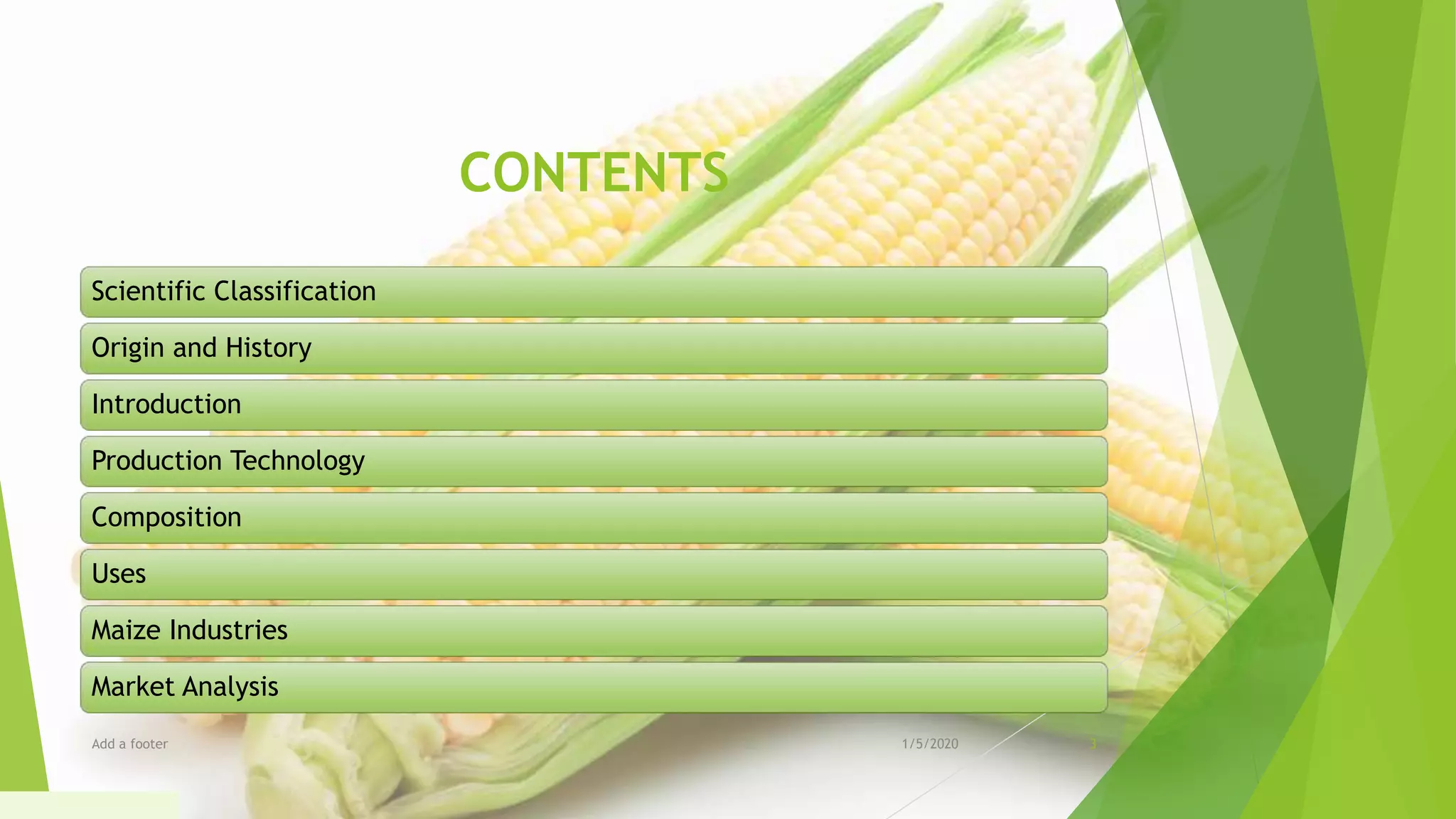 Maize industry in Pakistan | PPTX