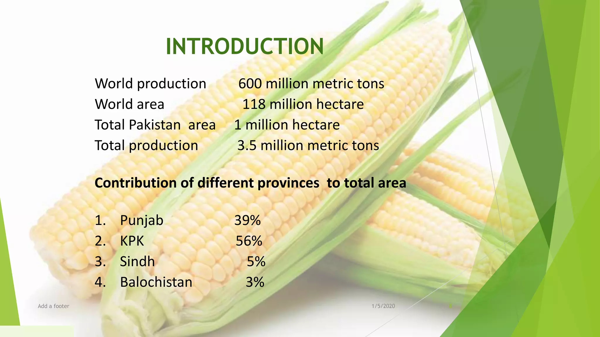 Maize industry in Pakistan | PPTX